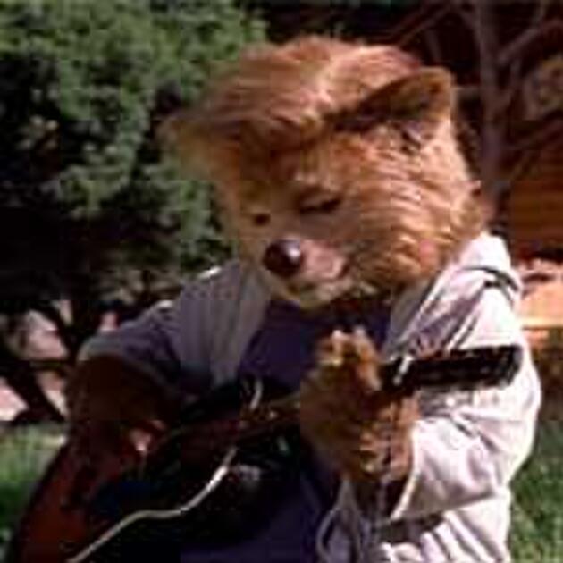 The Country Bears (2002) Movie Photos and Stills - Fandango